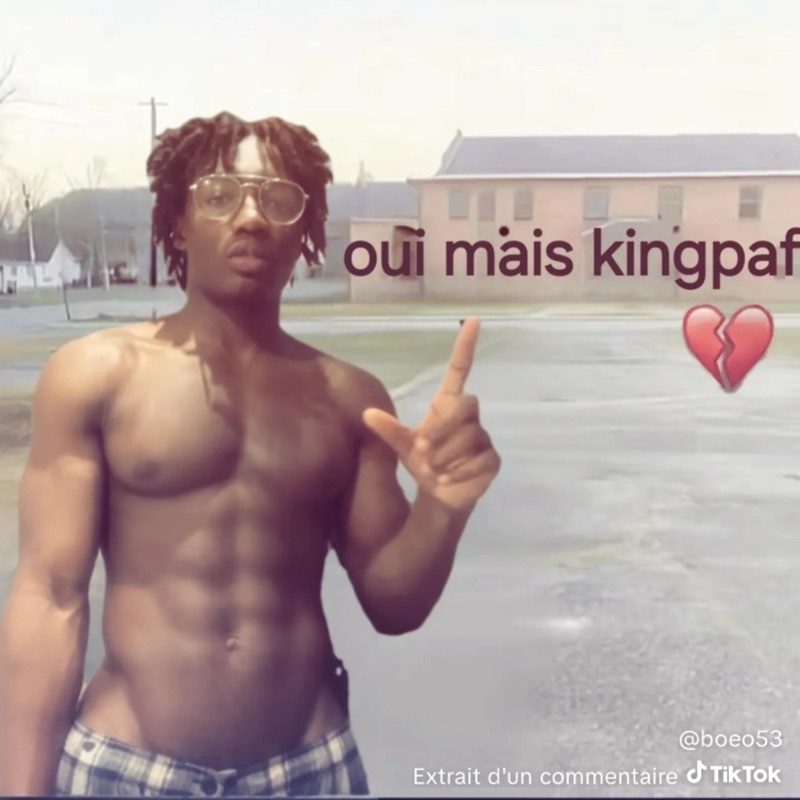 Fallait ps cala cette chienne - Prynce Hellmin: Song Lyrics, Music Videos & Concerts