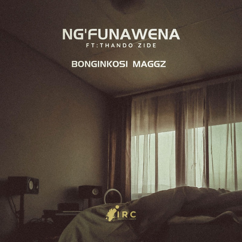 Ng'funa wena (feat. Thando Zide) - Bonginkosi Maggz: Song Lyrics, Music ...