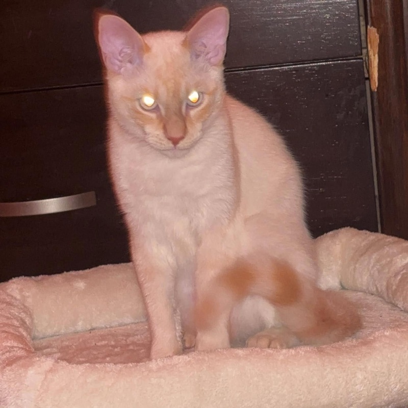 Zsssss - ynlronn: Song Lyrics, Music Videos & Concerts