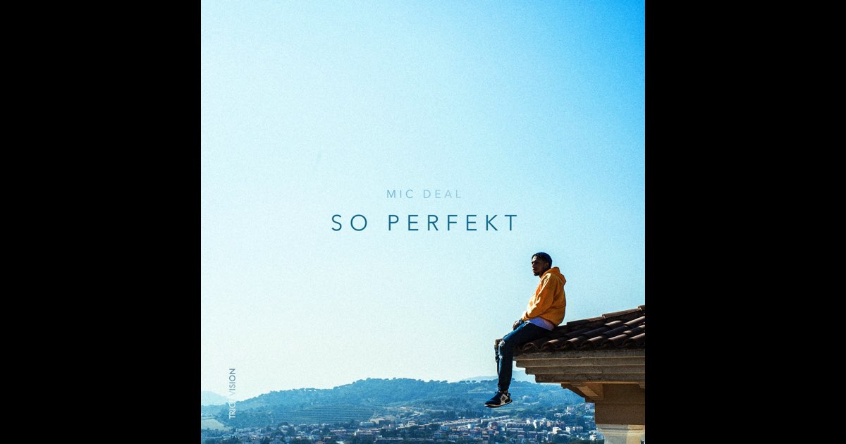 ‎So Perfekt (Mic Deal lost files) - Single – Album par deezygxtmotion ...