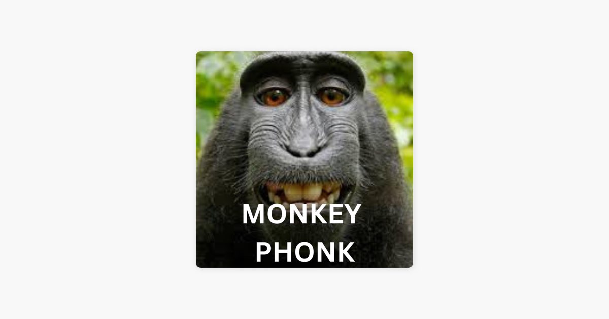 ‎MONKEY PHONK - Song by Lil Nigler - Apple Music