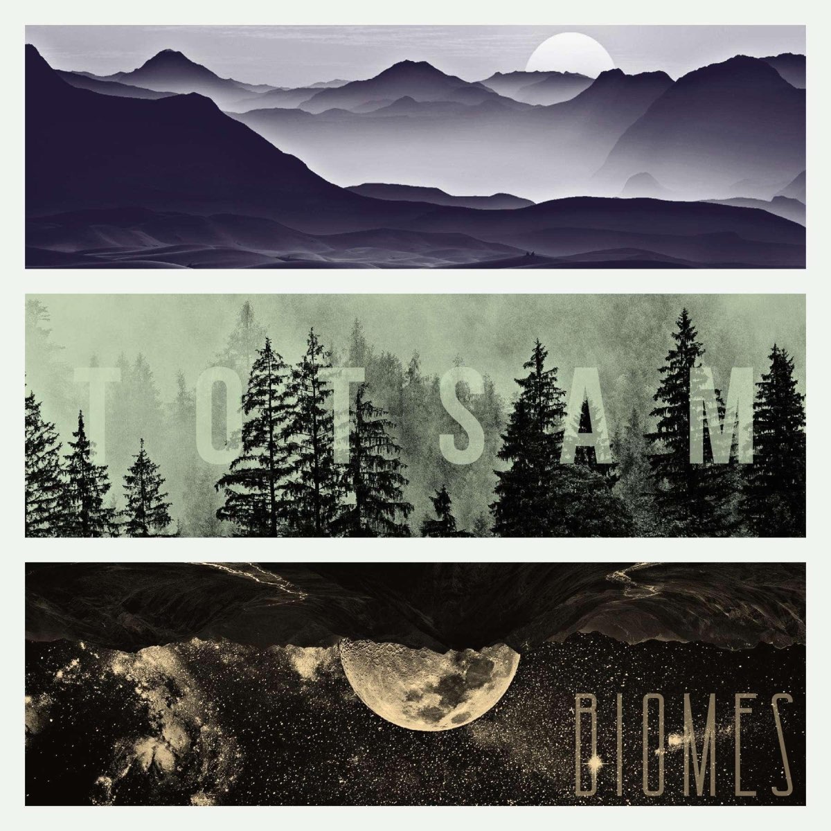 ‎Biomes - Album by TotSaM - Apple Music