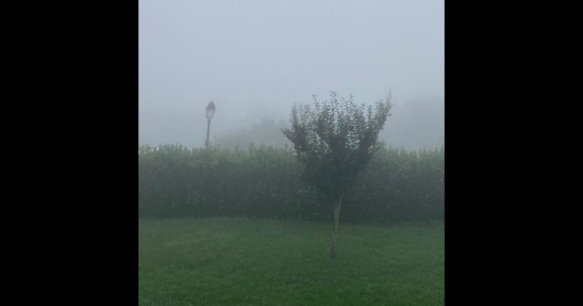 ‎swamp - Single - Album by Livio mi6 - Apple Music