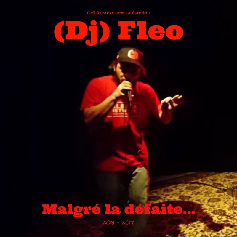 L'histoire d'un mec - Fleo: Song Lyrics, Music Videos & Concerts