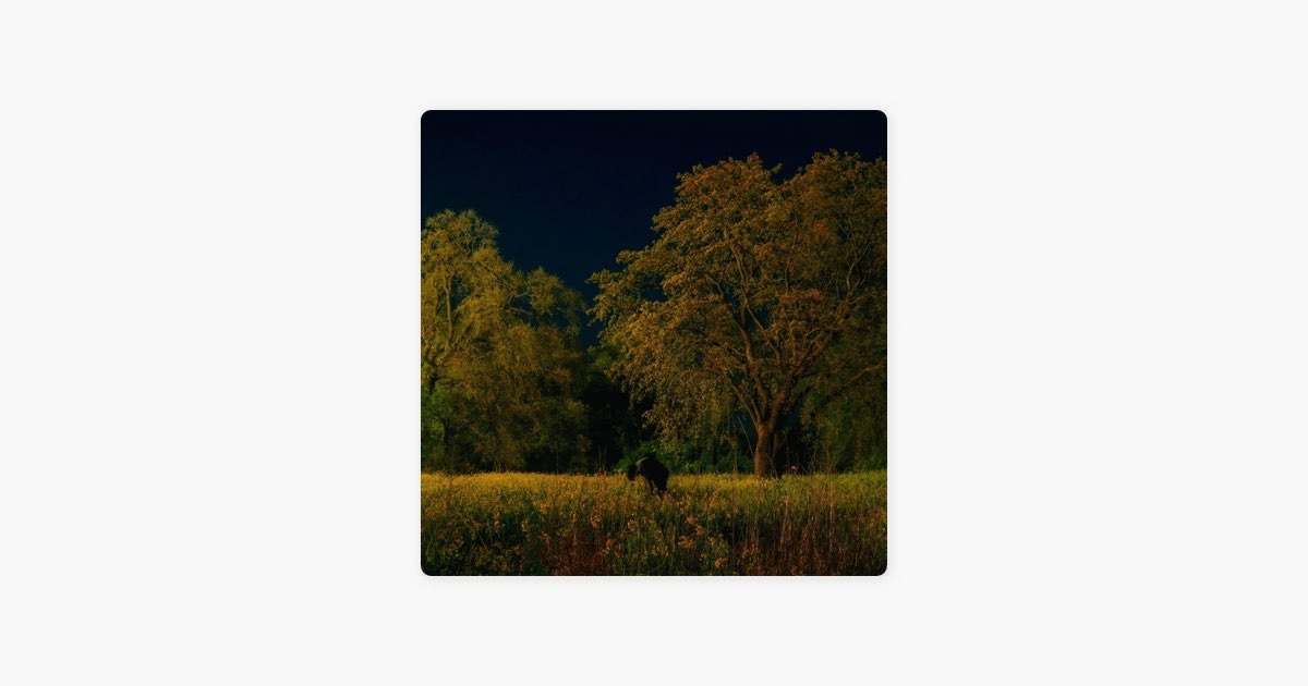 ‎Good Enough – Song by Hayd – Apple Music