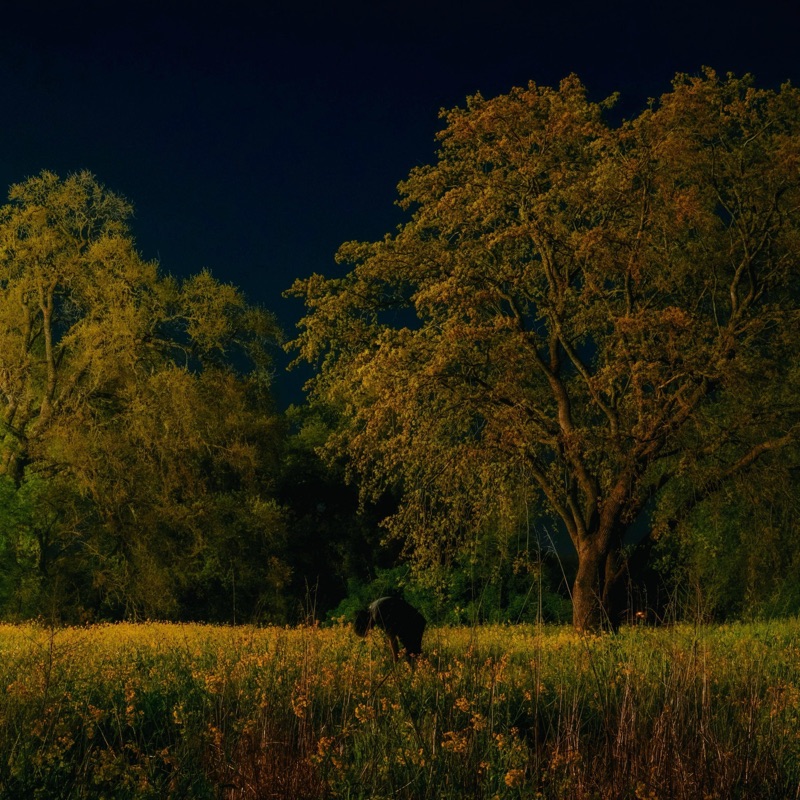 Healer - Hayd: Song Lyrics, Music Videos & Concerts