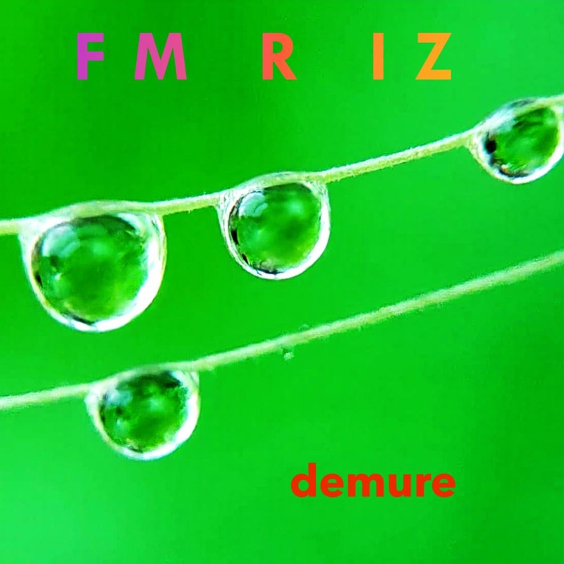 demure - FM R IZ: Song Lyrics, Music Videos & Concerts
