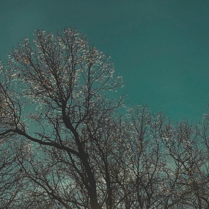 Another Life - The Smallest Number: Song Lyrics, Music Videos & Concerts