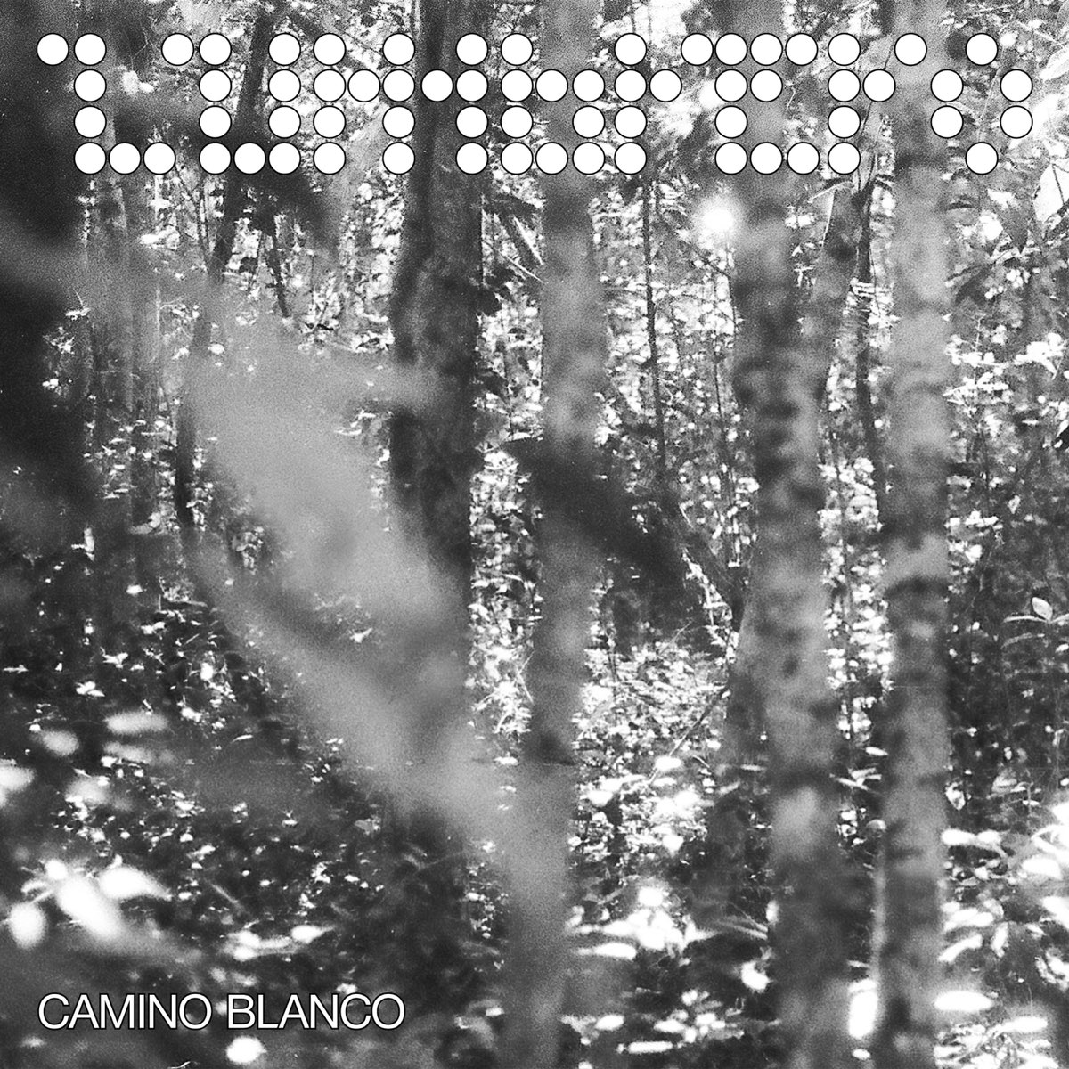 ‎Camino Blanco - LUMBREROのアルバム - Apple Music