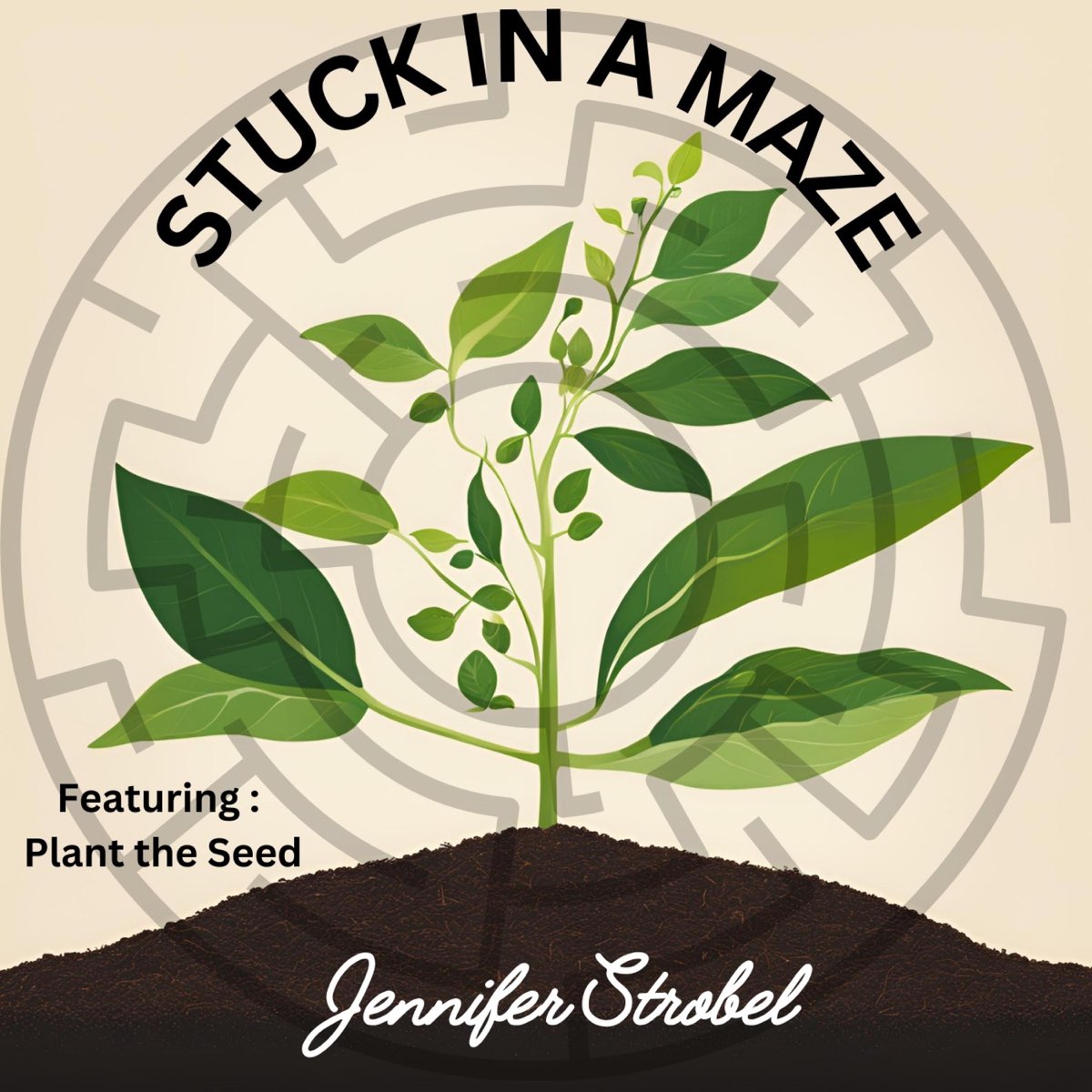 ‎Stuck in a Maze - Album by Jennifer Strobel - Apple Music