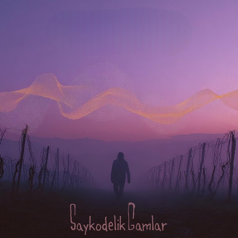 Kara Tren - Anatolian Psych Rock Lab: Song Lyrics, Music Videos & Concerts