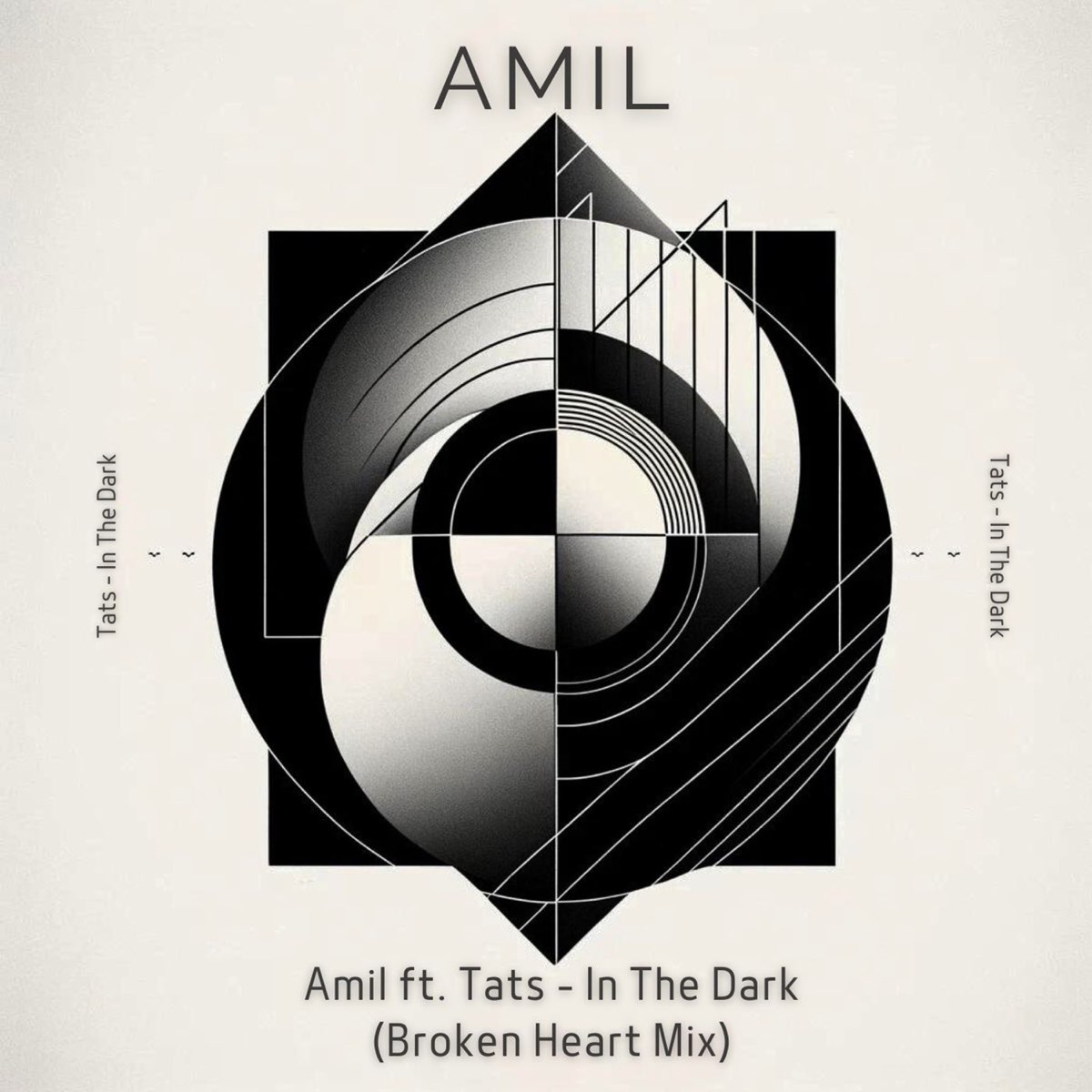 ‎In the Dark (Amil Broken Heart Mix) - Single – álbum de Amil Oksav aka ...