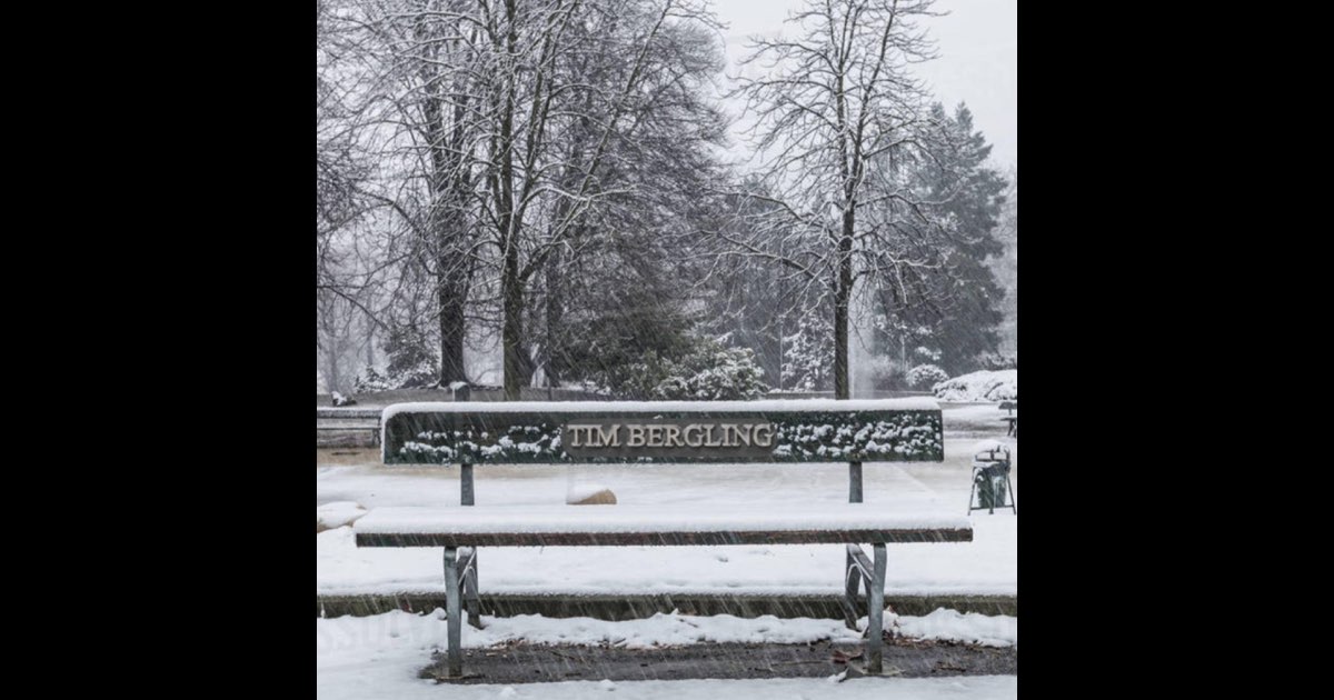 park bench" YUNG SHERMAN bladee (RIP AVICII) remix - Single - Album by ...