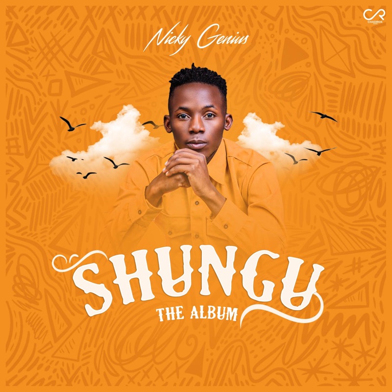 Falling (feat. Ghost Magician) - Nicky Genius: Song Lyrics, Music ...