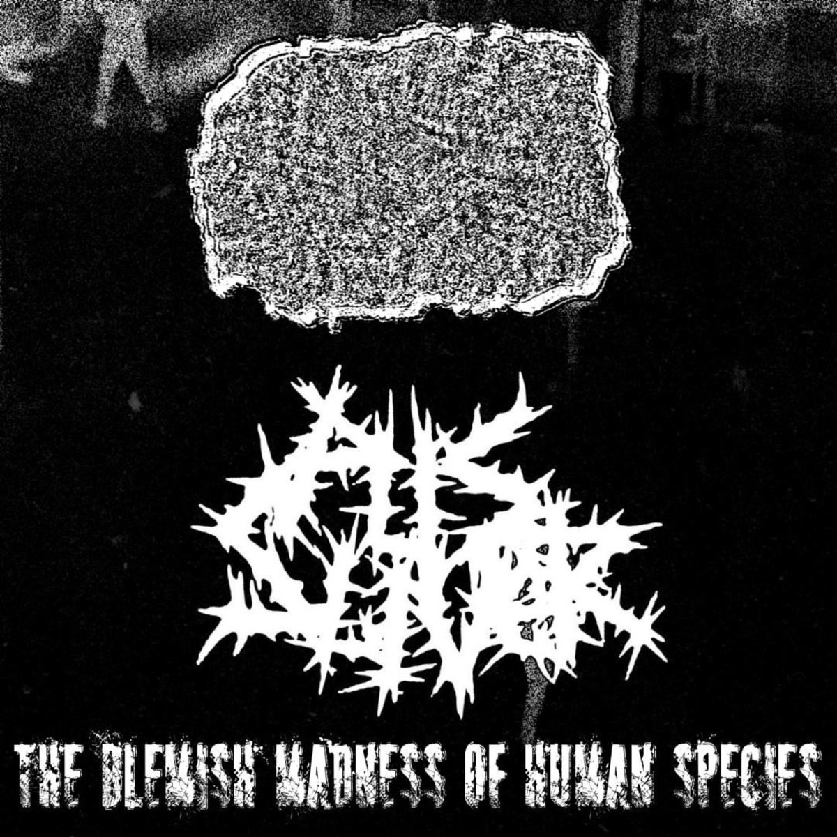 ‎The Blemish Madness of Human Species - Album by Pus Sliver - Apple Music