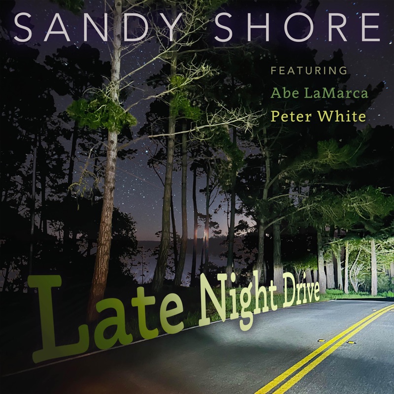 Late Night Drive (SJG Mix) (feat. Peter White & Abe LaMarca) - Sandy ...