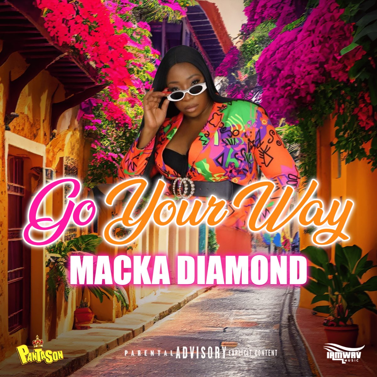 ‎Go Your Way - Single - Album by Macka Diamond & Panta Son - Apple Music
