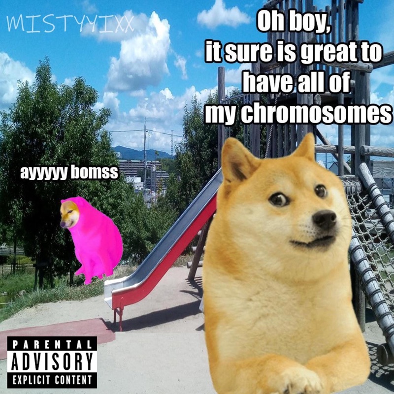 Allahu Akbar - mistyyixx: Song Lyrics, Music Videos & Concerts