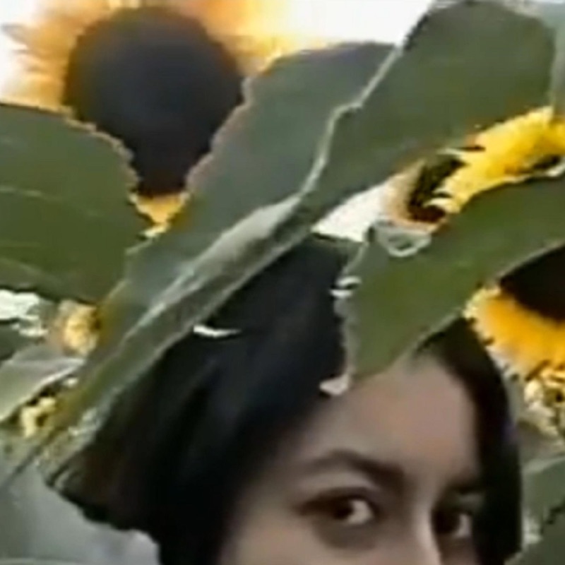 The Subtle Art of Romance - BREAD.: Song Lyrics, Music Videos & Concerts