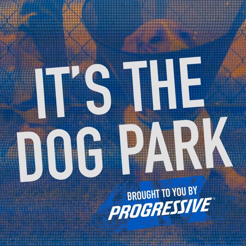 It's the Dog Park - Progressive Insurance: Song Lyrics, Music Videos ...