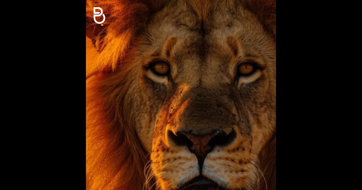 ‎The Way You Father Me - Album by Braam Official - Apple Music