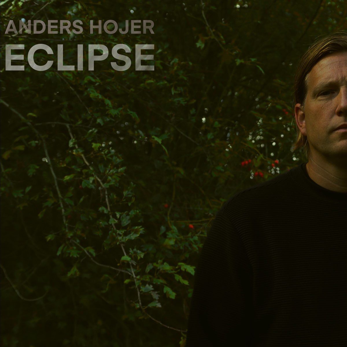 ‎Eclipse - Single - Album by Anders Hojer - Apple Music