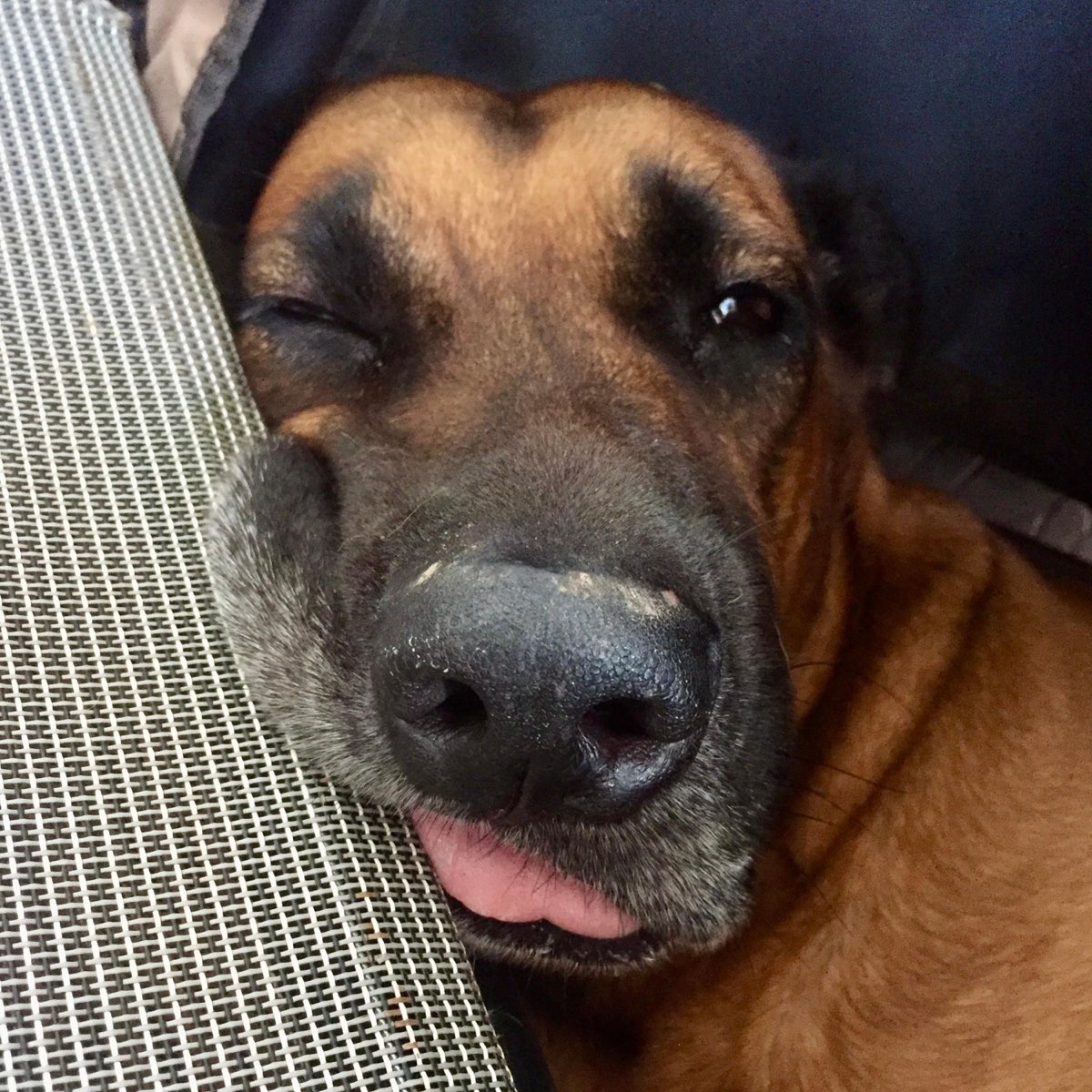 ‎Zesty Ahh Song (Slowed) - Single - Album by Noneh69 - Apple Music