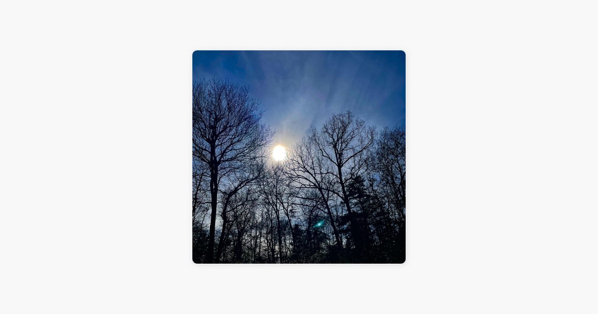 ‎Without You (Single Version) - Song by Hawk! - Apple Music