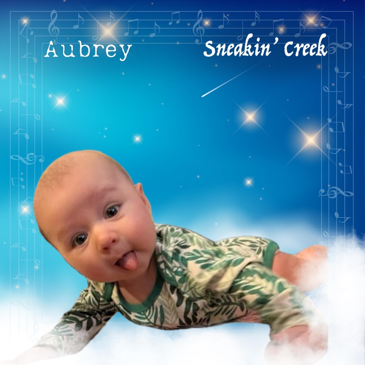 ‎Aubrey - Single - Album by Sneakin' Creek - Apple Music