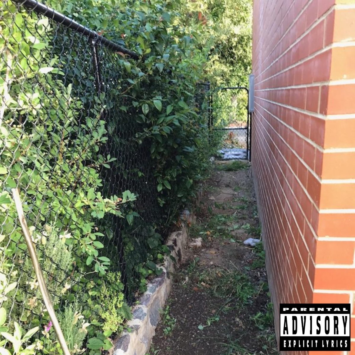 ‎Indica Badu (Single Version) - Album by WSTR - Apple Music