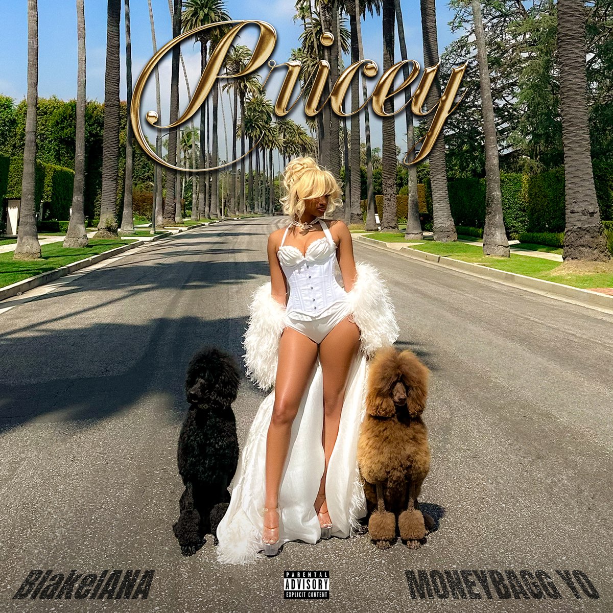 pricey Single Album By Blakeiana And Moneybagg Yo Apple Music