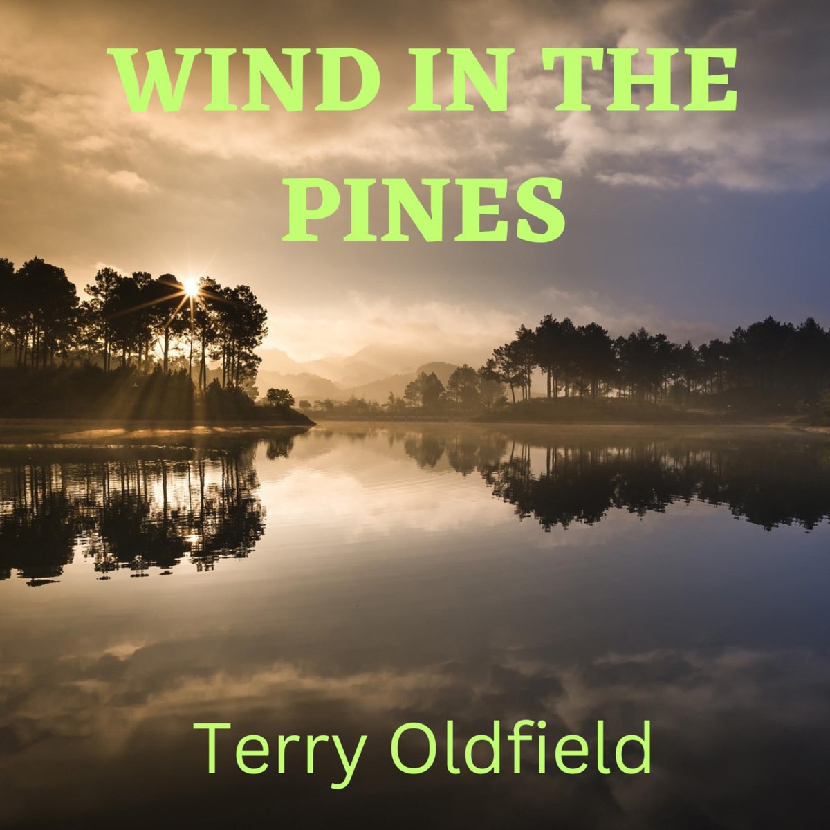 ‎Wind In The Pines - Album by Terry Oldfield - Apple Music