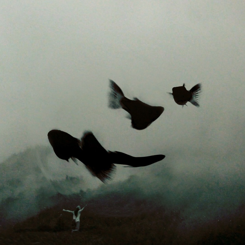 Hey Billie - 92914: Song Lyrics, Music Videos & Concerts