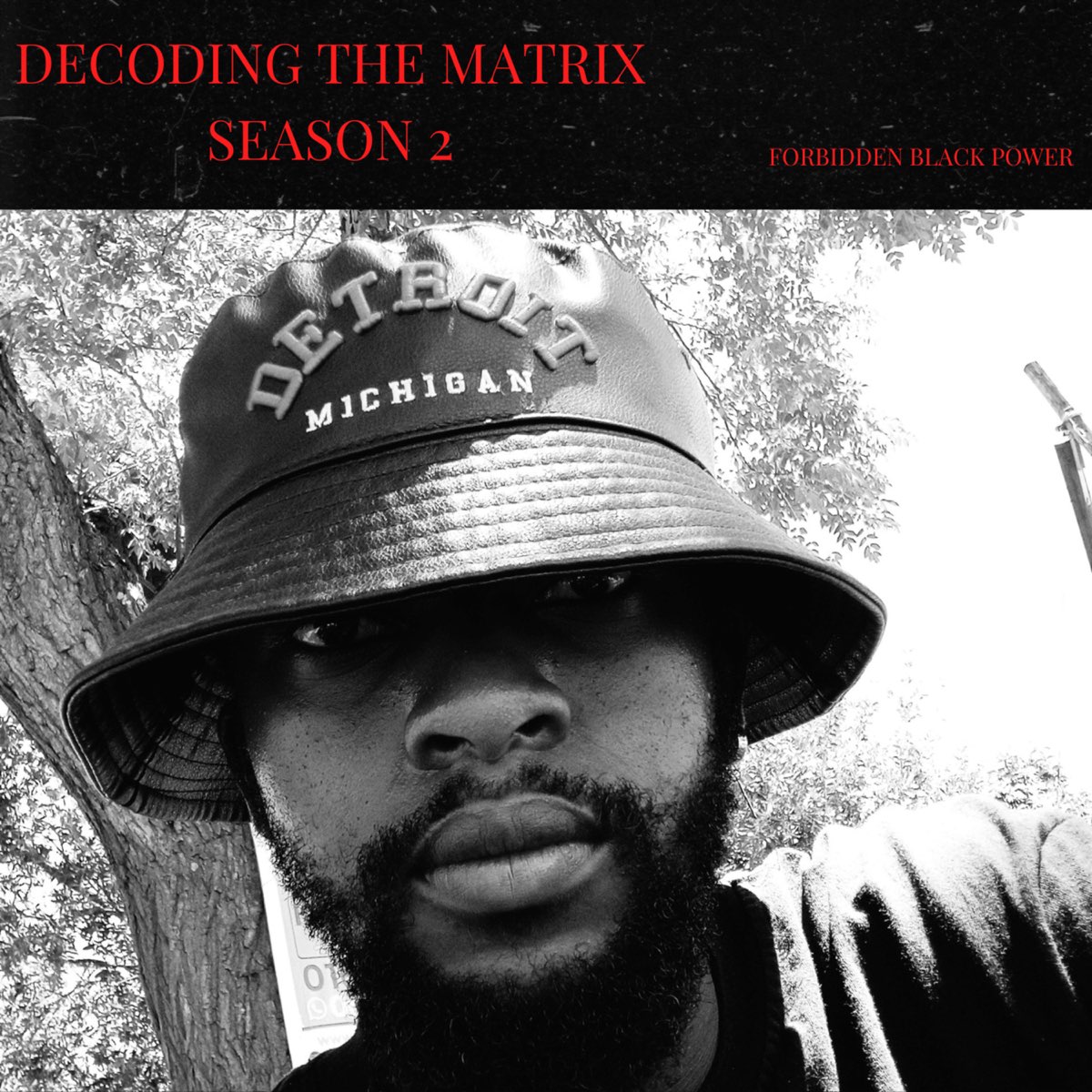 ‎Decoding the Matrix Season 2 - Album by Forbidden Black Power - Apple Music