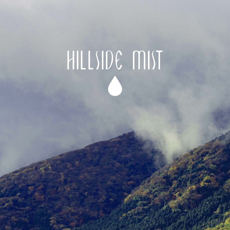 Homeward Flow - Chill Sleep: Song Lyrics, Music Videos & Concerts