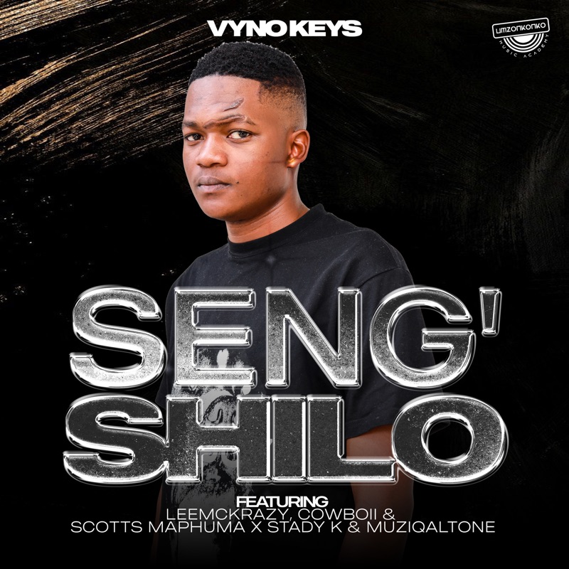Seng'shilo (feat. LeeMcKrazy, CowBoii, Scotts Maphuma, Stady K ...
