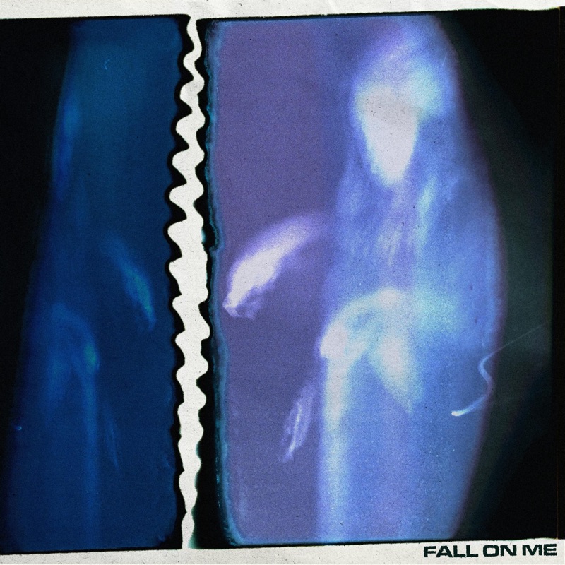 Fall On Me - Torus: Song Lyrics, Music Videos & Concerts