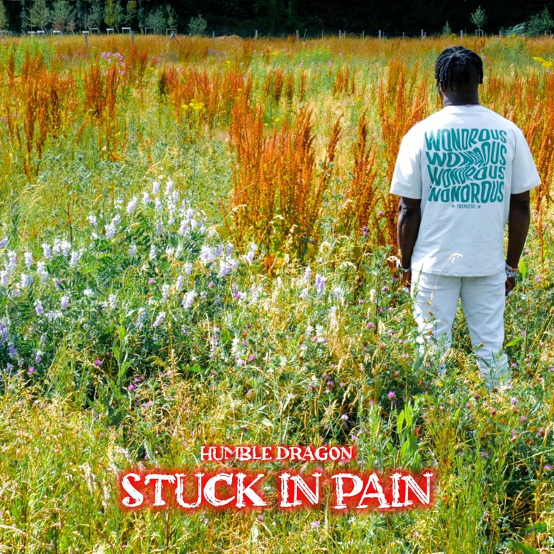 Stuck In Pain - Humble Dragon: Song Lyrics, Music Videos & Concerts