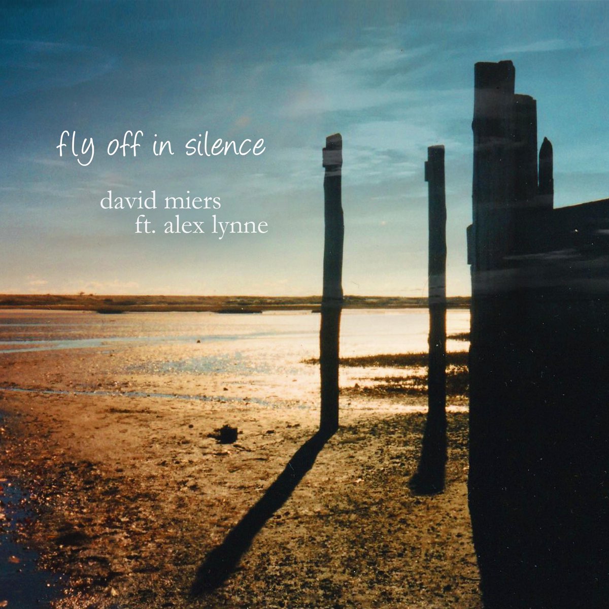 ‎Fly Off In Silence (feat. Alex Lynne) - Single - Album by David Miers ...