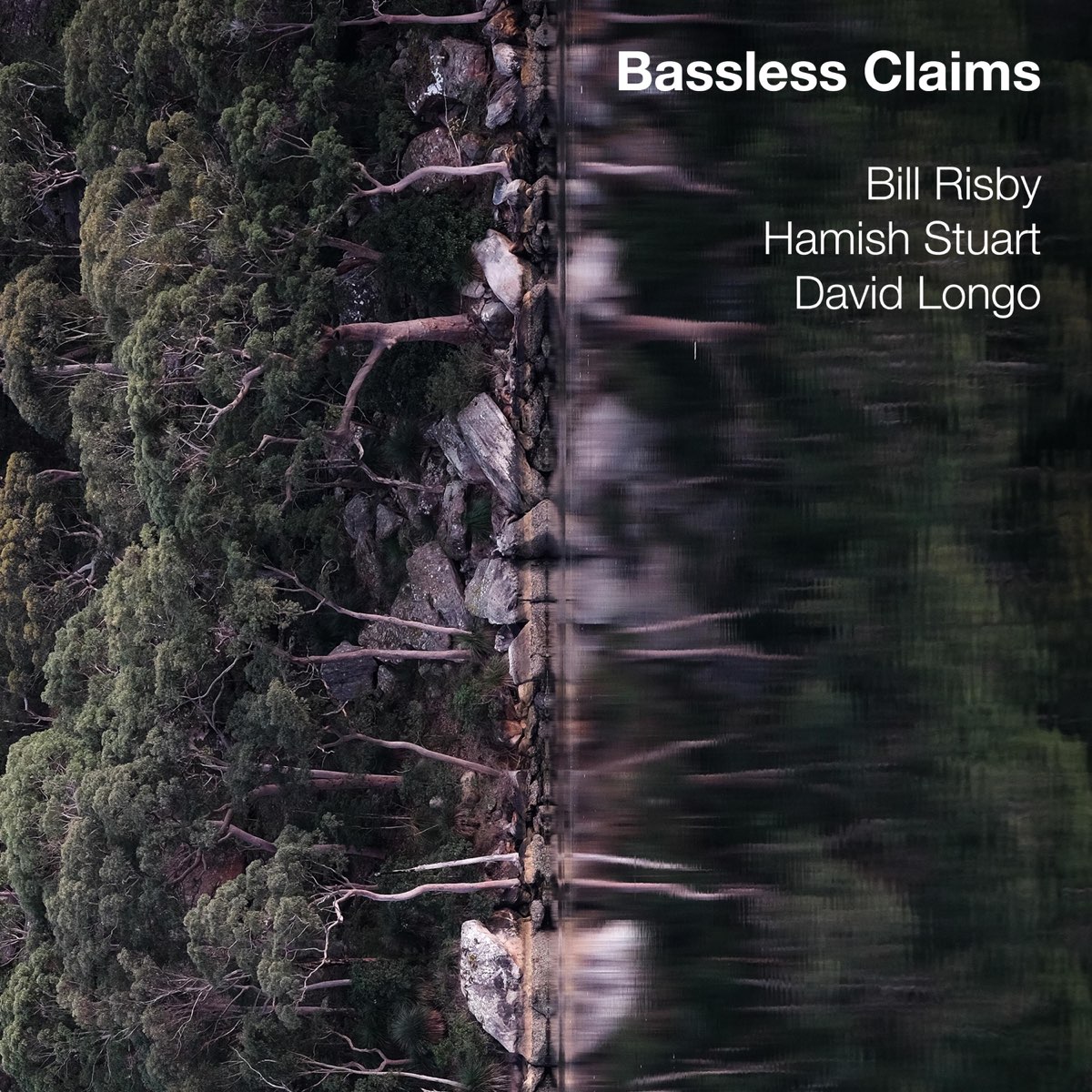 ‎Bassless Claims - Album by Bill Risby - Apple Music