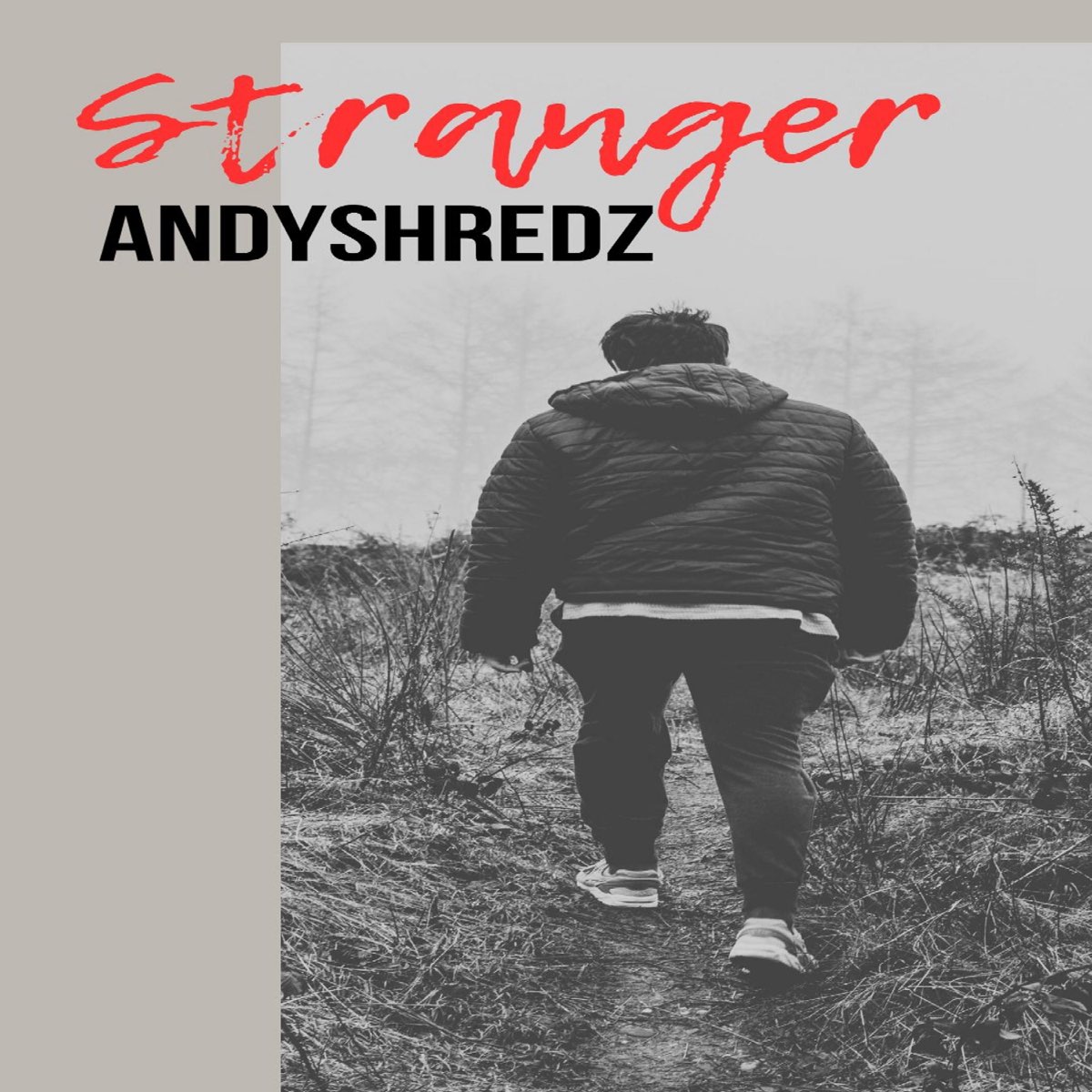 ‎Stranger (RE-MASTERED) [REMASTER 2024] - Single - Album by AndyShredz ...