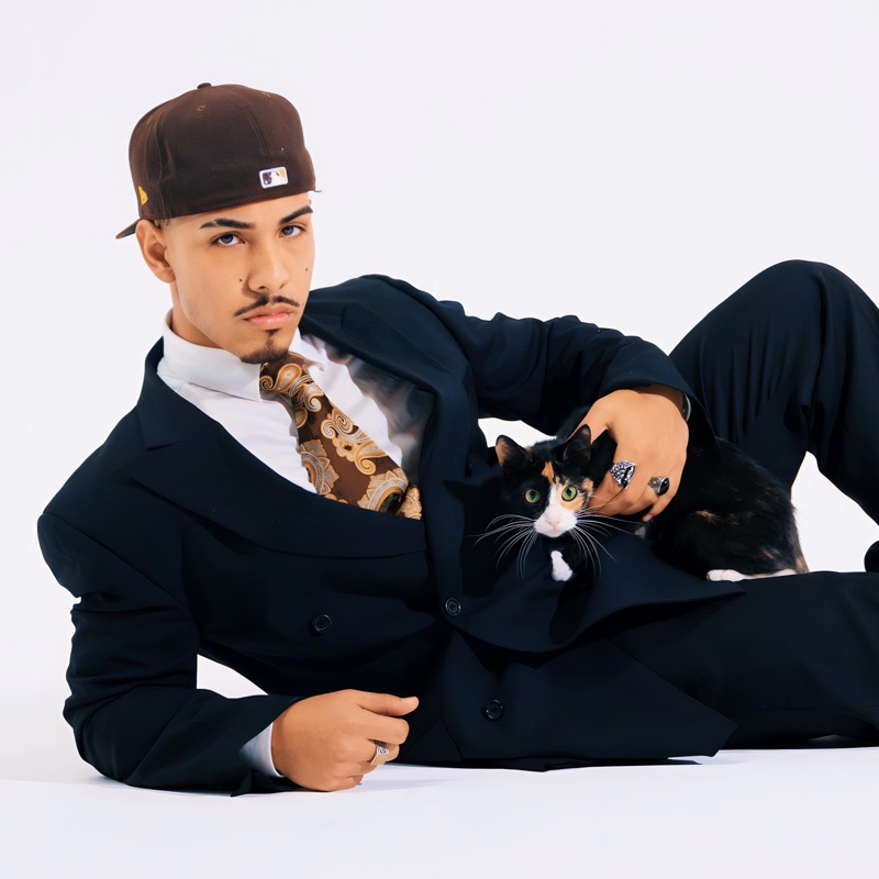 Kitty cat (feat. Papito bro) - Cristian Andres: Song Lyrics, Music ...