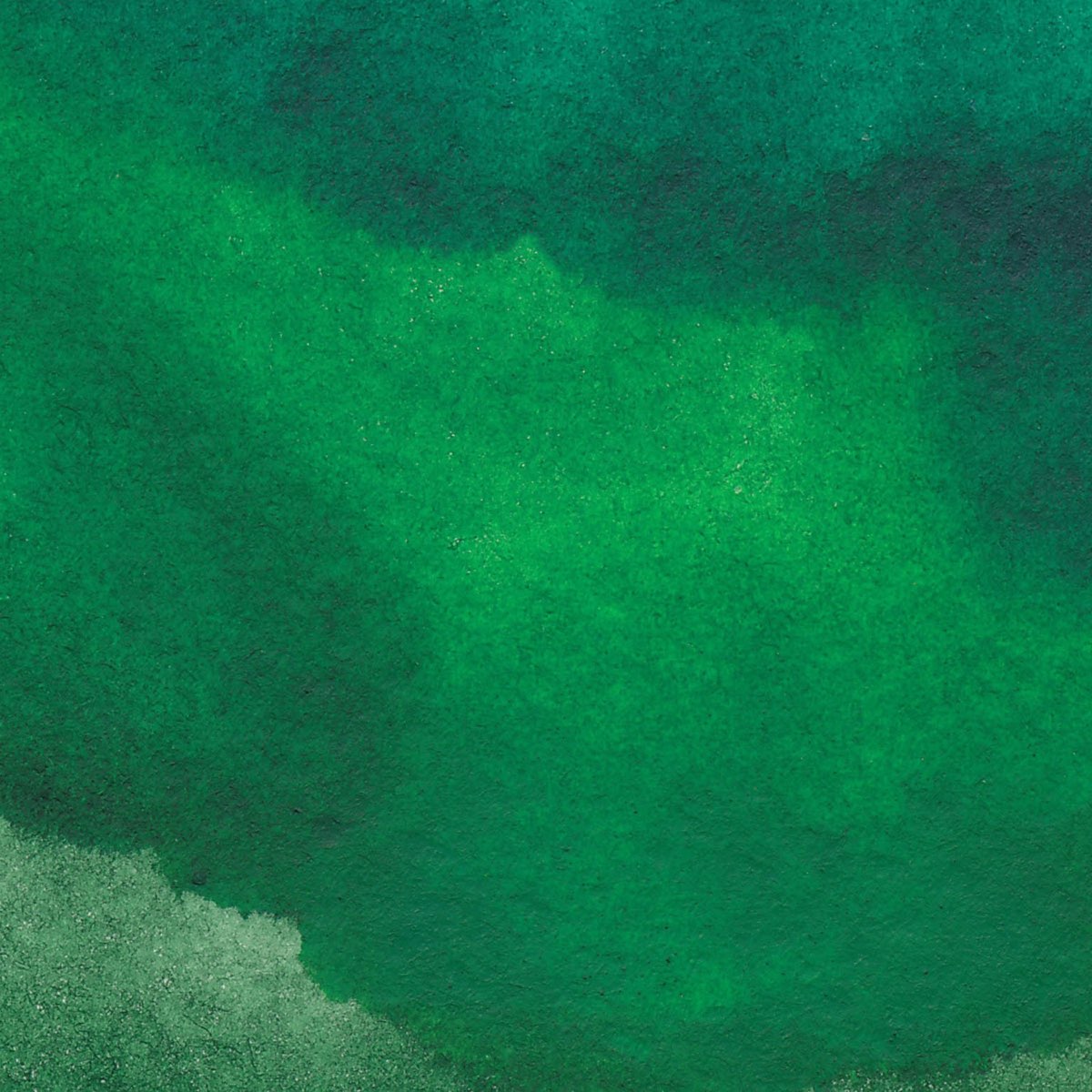 ‎Money - Single - Album by Nic D - Apple Music