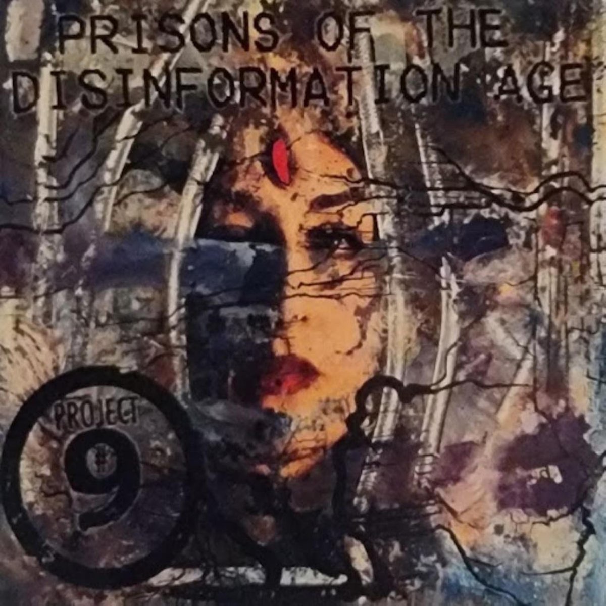 ‎Prisons of the Disinformation Age (Project #9) - Album by Rev. Steven ...