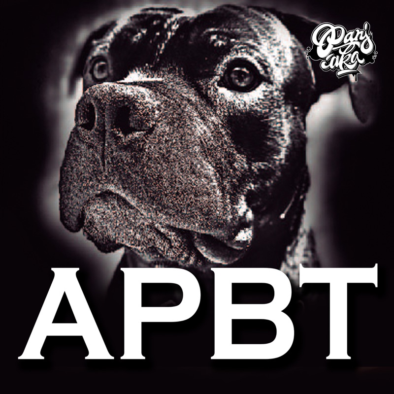 APBT - Pani Aka: Song Lyrics, Music Videos & Concerts