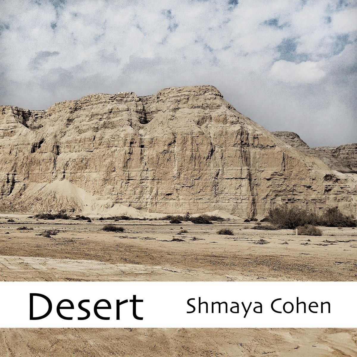 ‎Desert - Album by Shmaya Cohen - Apple Music