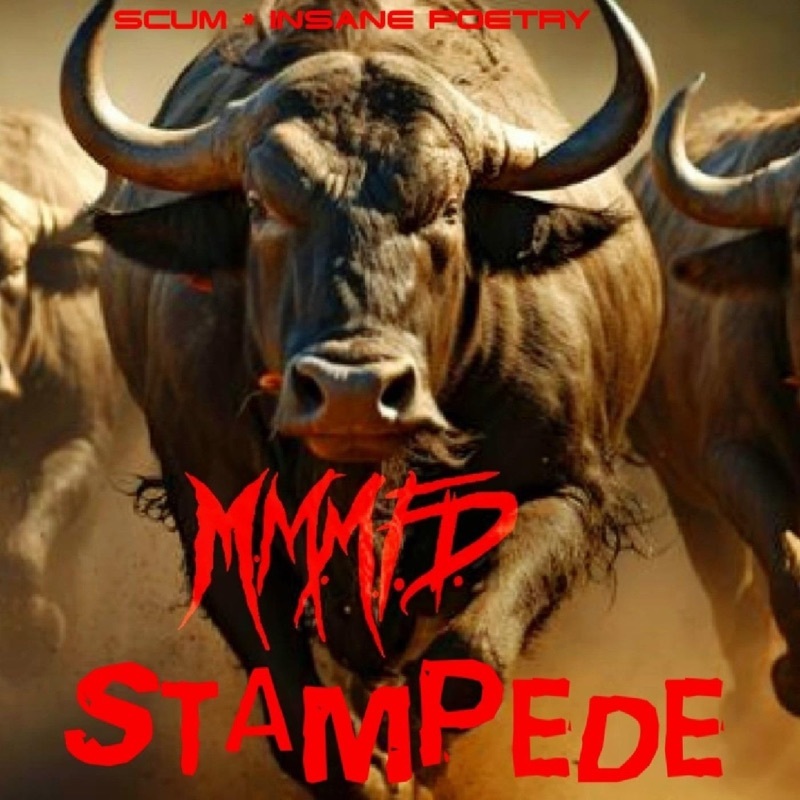 Stampede - M.M.M.F.D., Scum & Insane Poetry: Song Lyrics, Music Videos ...