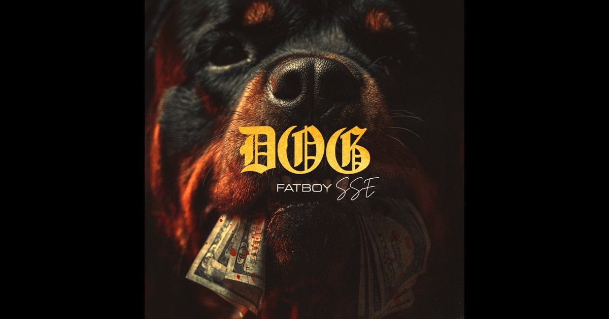 ‎Dog - Single - Album by Fatboy Sse - Apple Music