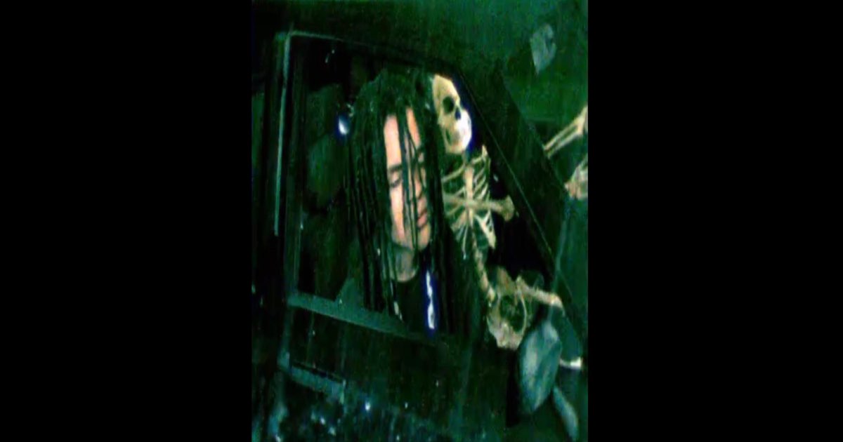 ‎Альбом «SkullCam (feat. LV*RK) - Single» — Dead Hippie — Apple Music