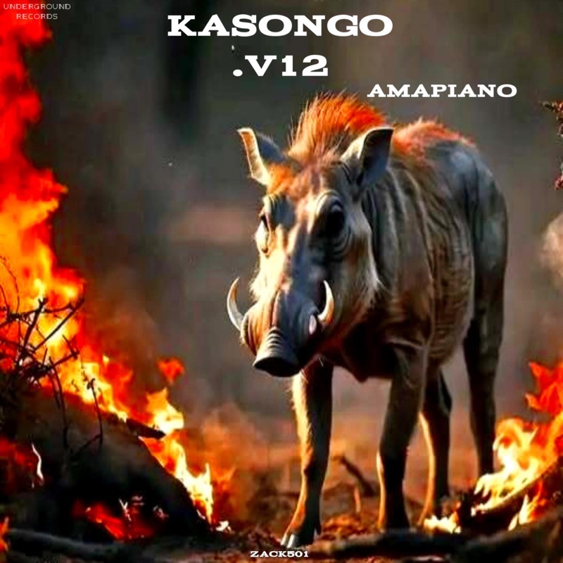 KASONGO YEE (AmaPiano) - Zack501: Song Lyrics, Music Videos & Concerts